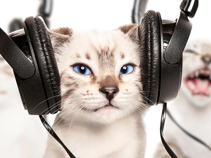 Ditching music algorithms? Here are 12 streaming alternatives to explore