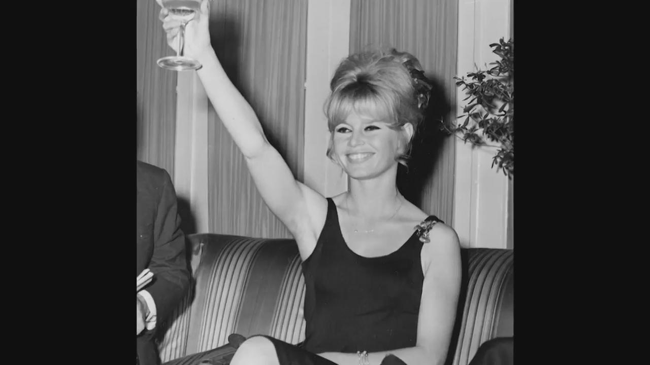 Brigitte Bardot, 1960s screen sex symbol turned militant animal rights ...