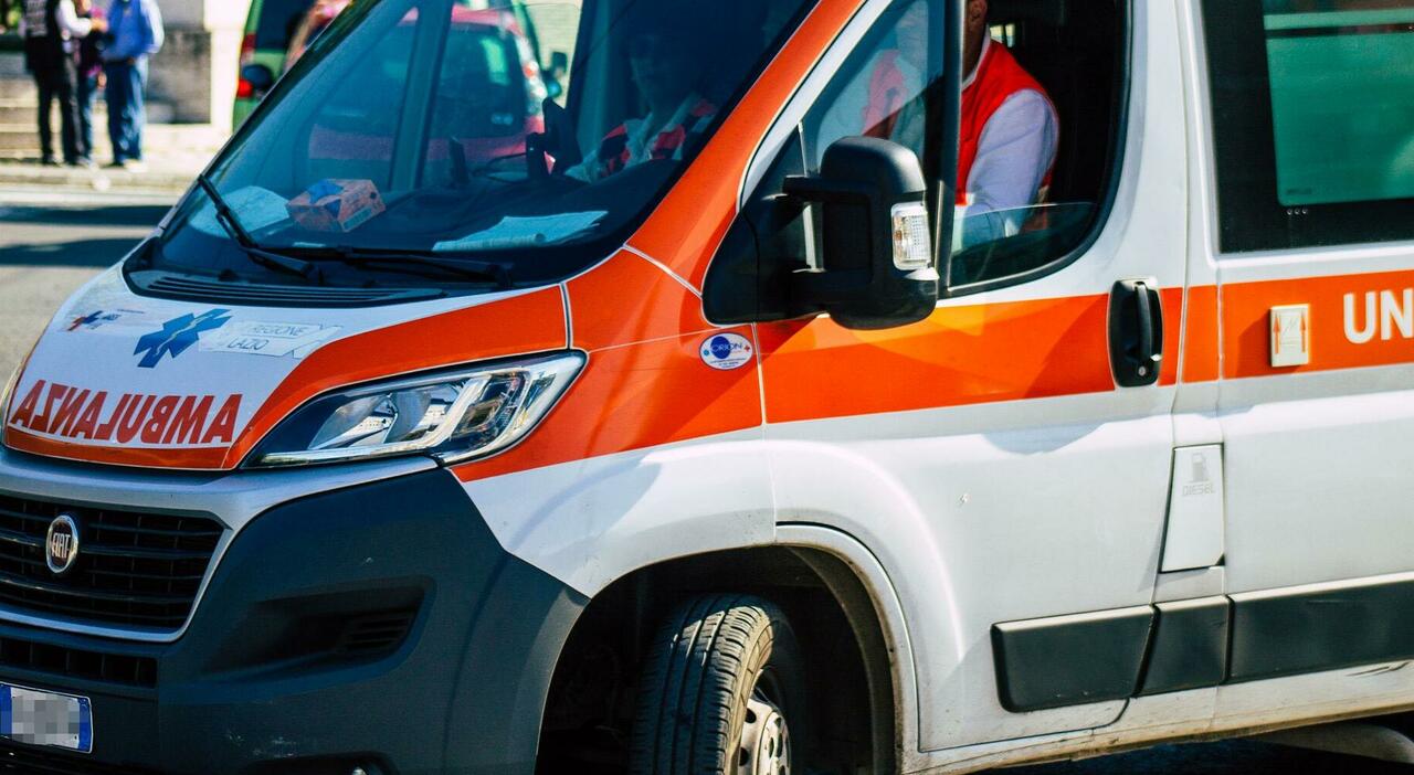 Pensionato muore dopo l’aggressione di un cinghiale, la tragedia ...