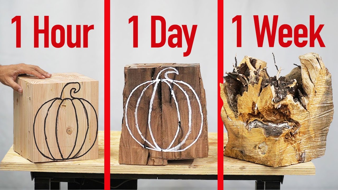 Watch me transform pumpkins over time!