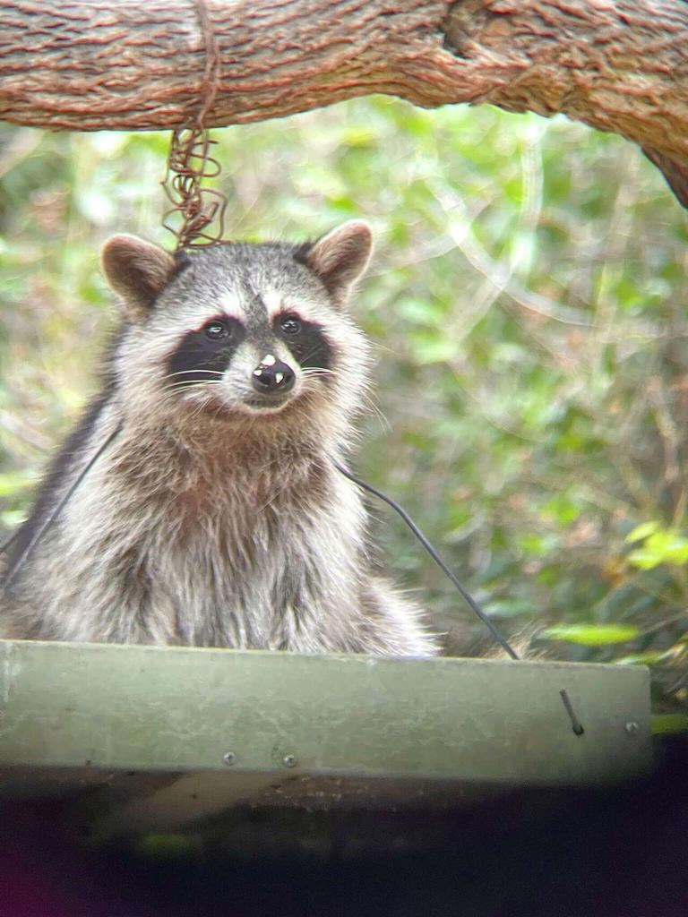 Step into another realm at Texas' southernmost state park