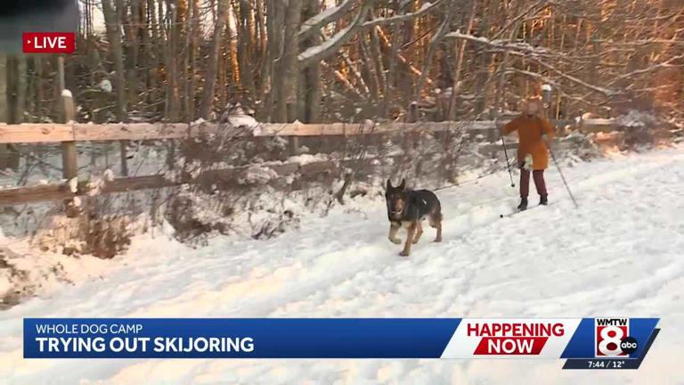 Interested in skijoring? There's a spot in Freeport where you can teach ...