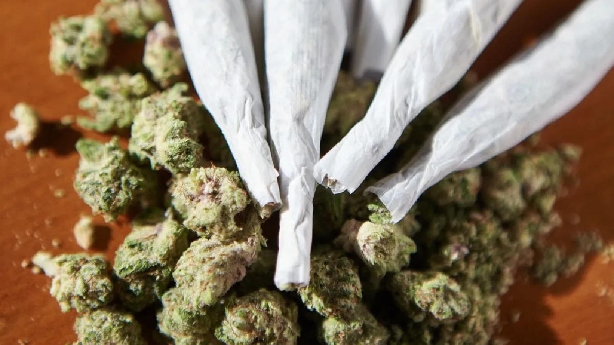 Marihuana en adolescentes: el consumo ocasional ya genera riesgos ...