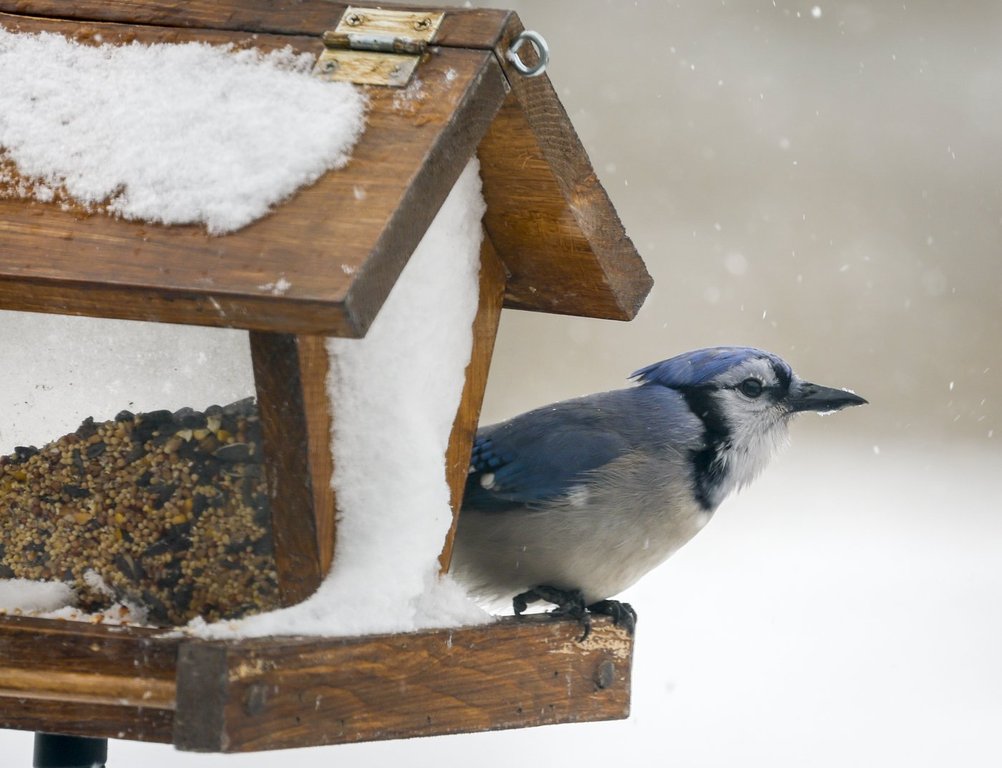 Canada sees numerous winter storm, freezing rain warnings