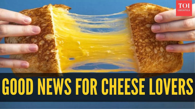 What happens to cholesterol when you eat cheese instead of butter? Good ...