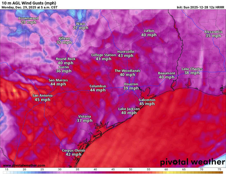 Wind advisory hits parts of southeast Texas as cold front brings gusty ...