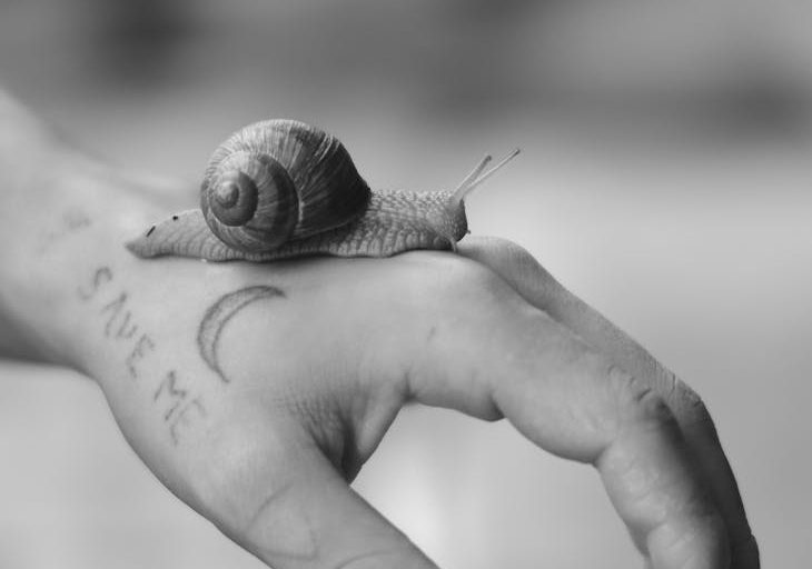 Snail slime took over skincare—here’s why everyone’s obsessed