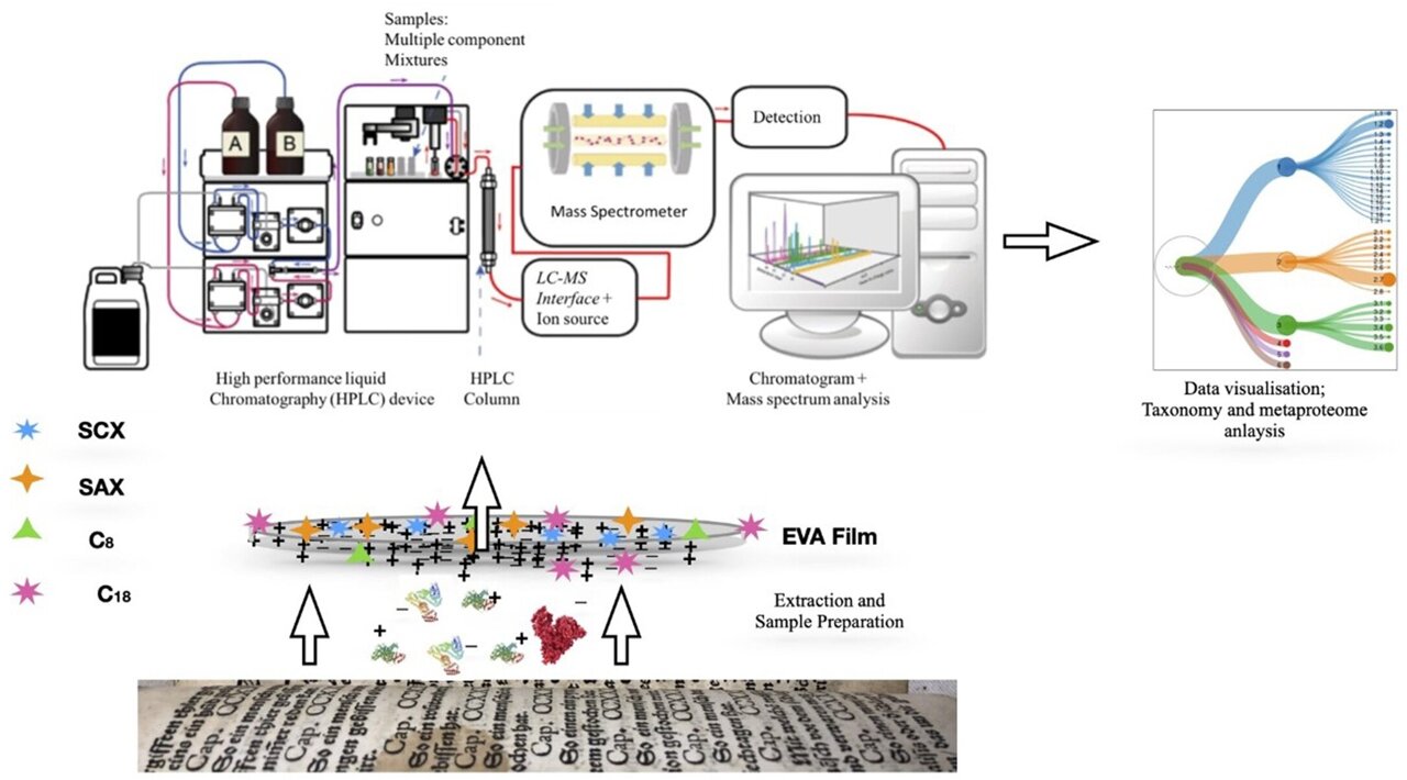 What Renaissance readers left behind in haircare books