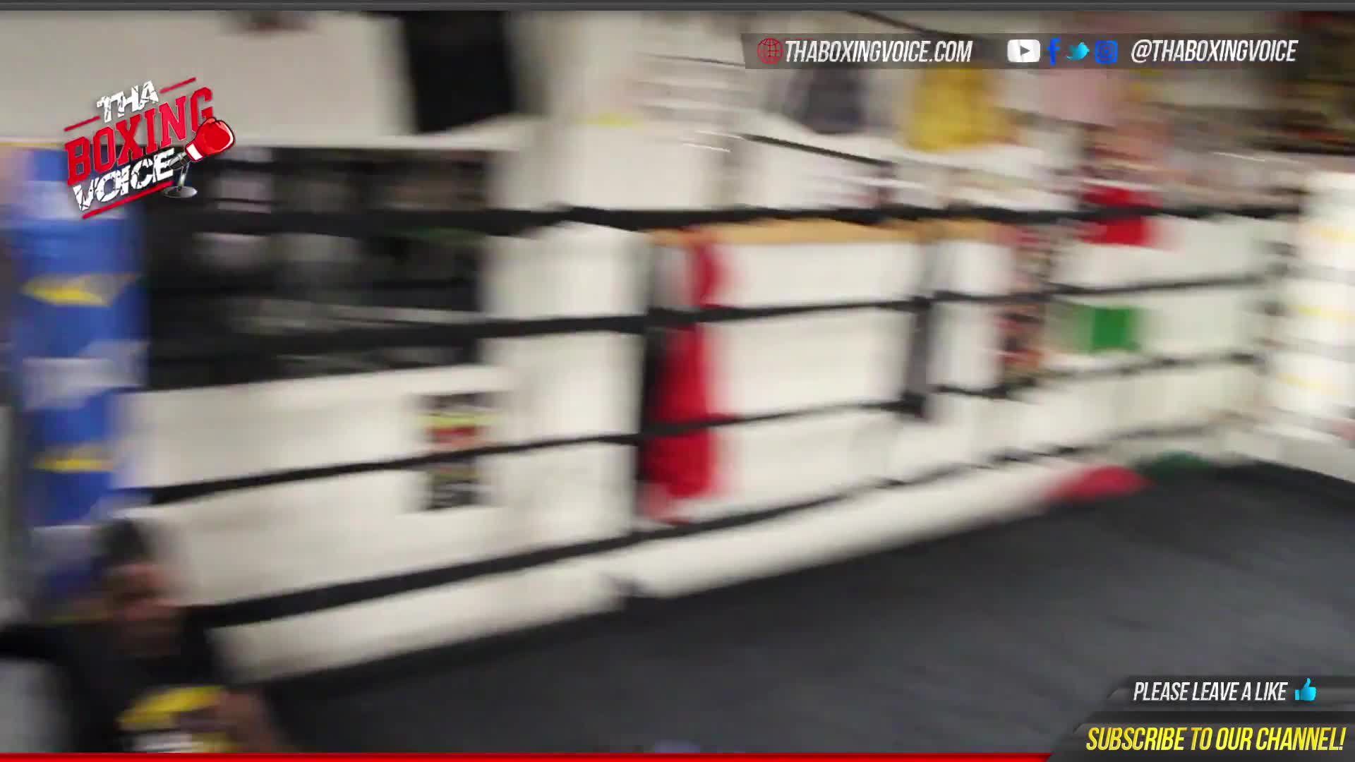 🔴 James Wilkins training for American Boxing Federation Continental ...