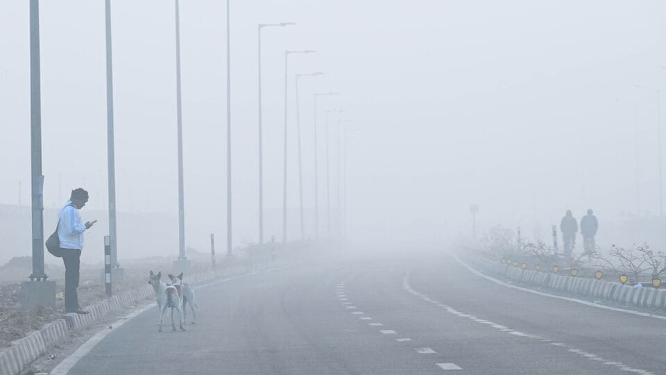 Delhi air quality remains 'very poor'; MeT warns of dense fog on Monday ...