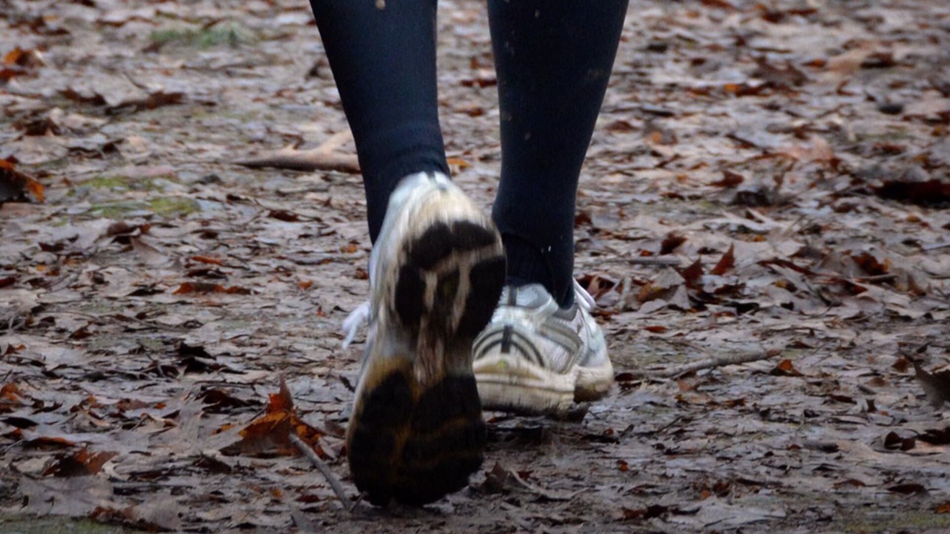 Tennessee State Parks hosting 'First Day Hikes' to celebrate America's ...