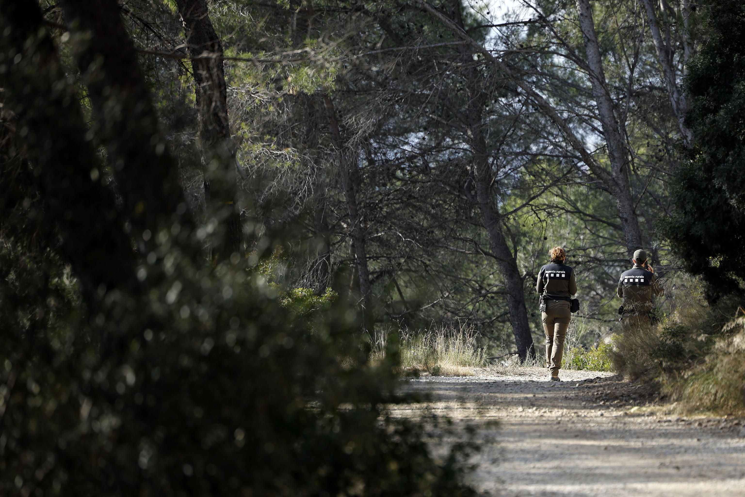 Pensionato muore caricato da un cinghiale durante battuta di caccia