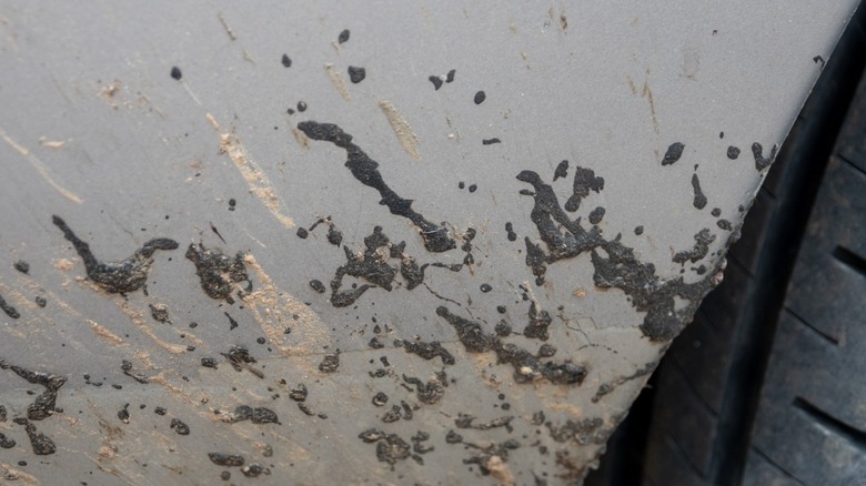 How to get tar off your car without damaging the paint