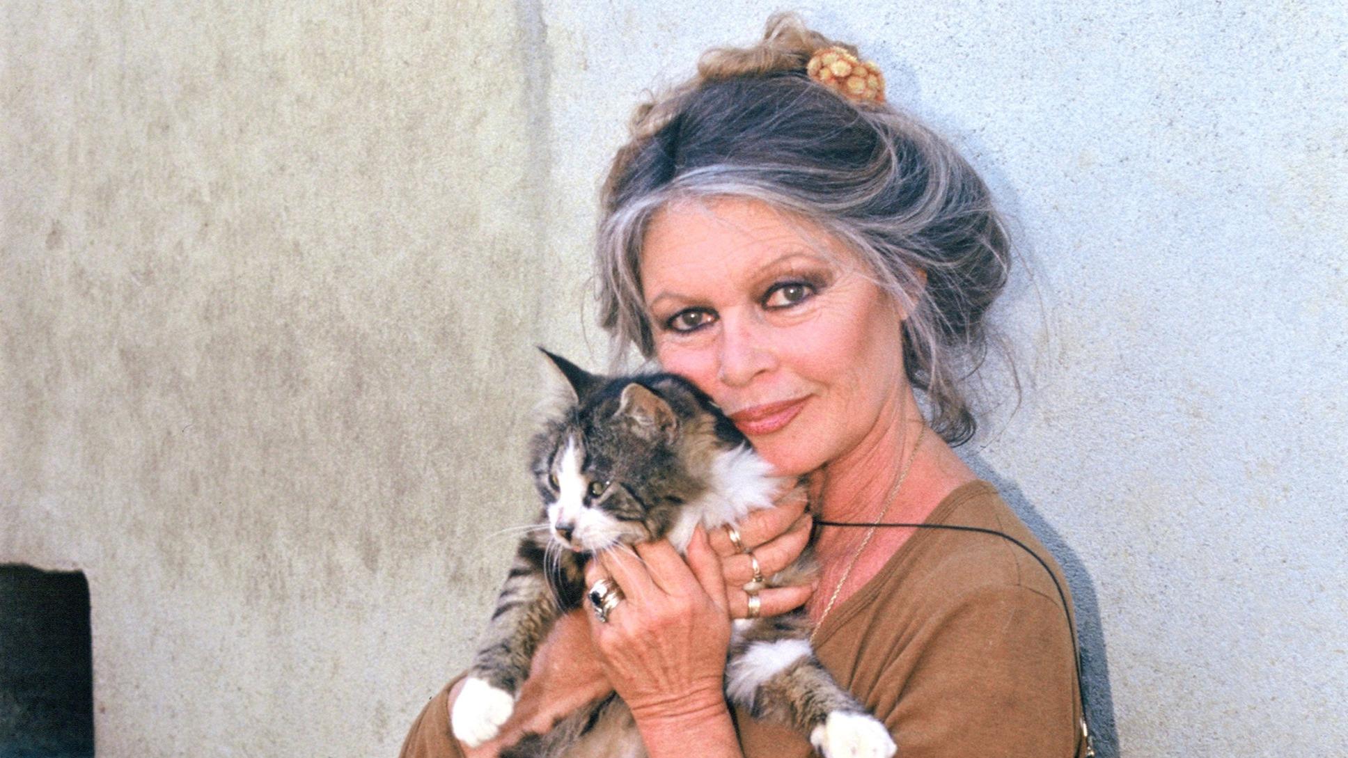 Brigitte Bardot, Thierry Ardisson, Émilie Dequenne... Ces décès ...