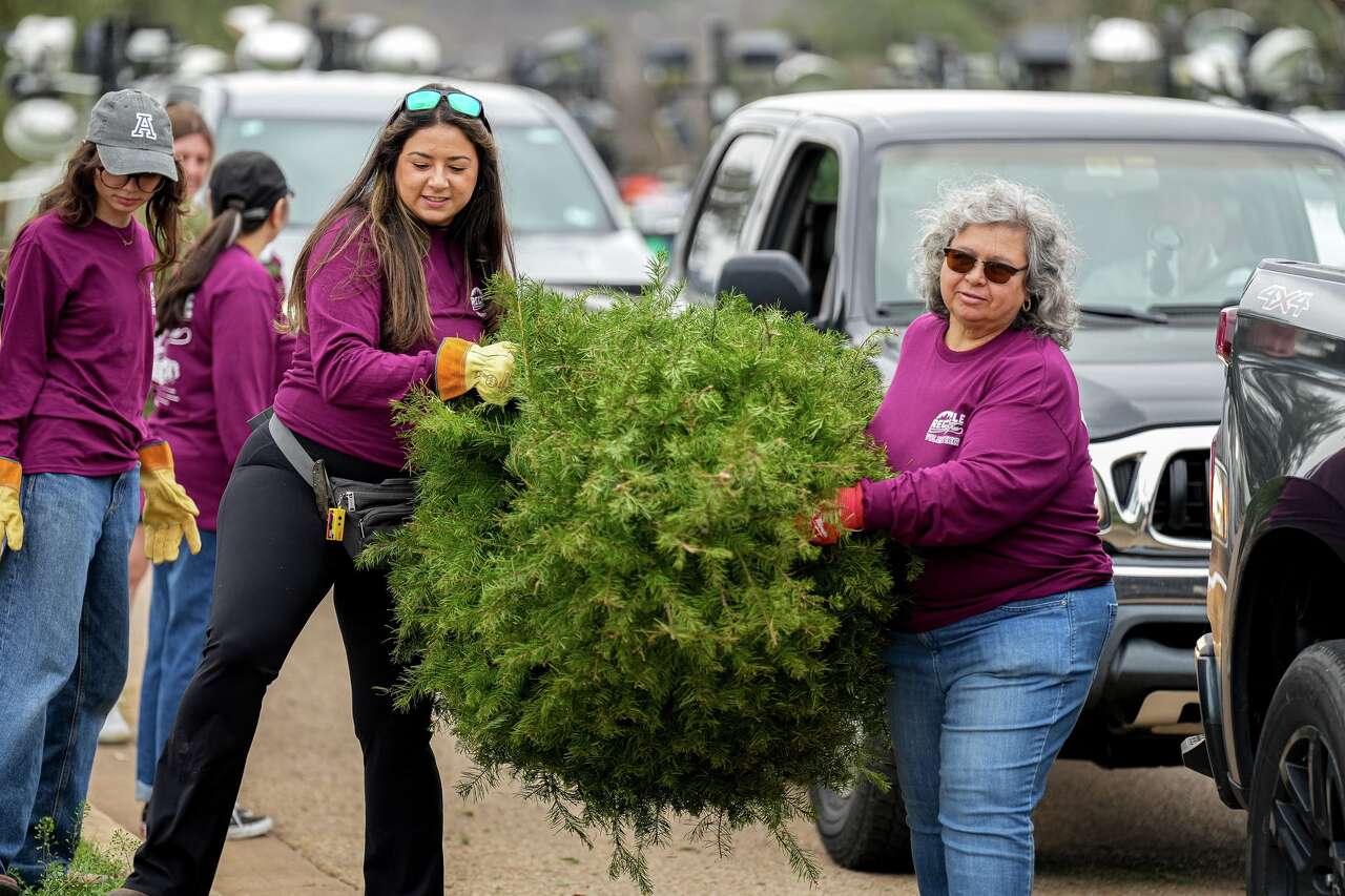 City of Austin hosts drive-through holiday tree recycling event at ...