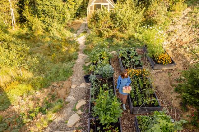 Man issues warning to people who want to start off-grid communities ...