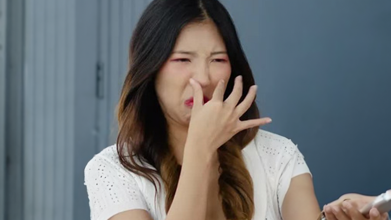 Why the colon produces gas