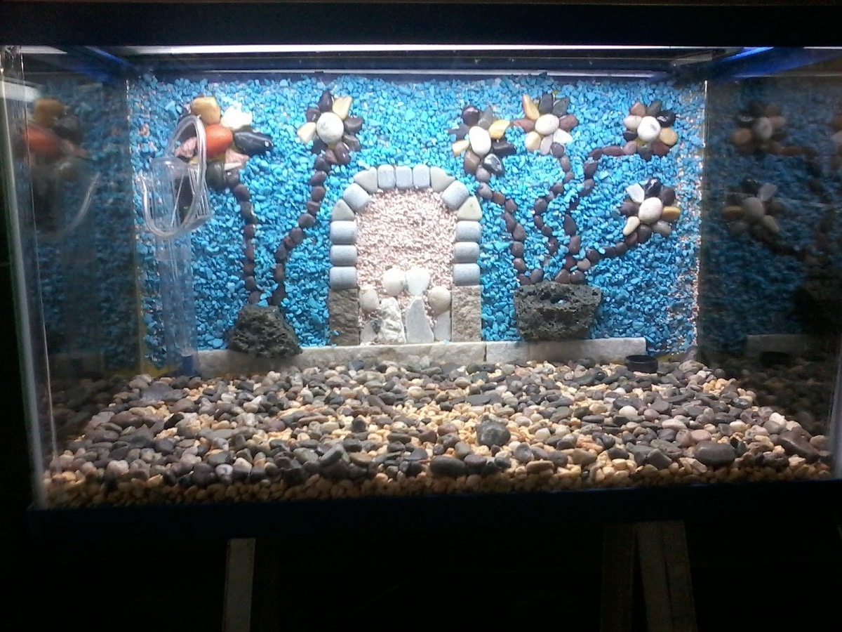 Mejores piedras para acuarios y tipos: guía completa para elegir y ...