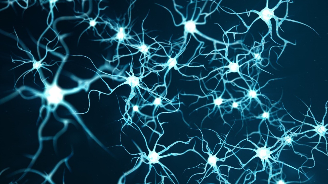New clue explains how some injured neurons resist decline