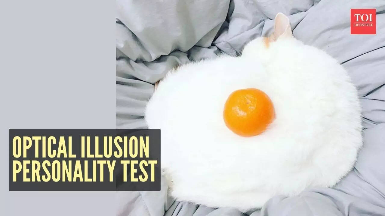 Optical illusion personality test: Cat, fried egg or orange? What you ...