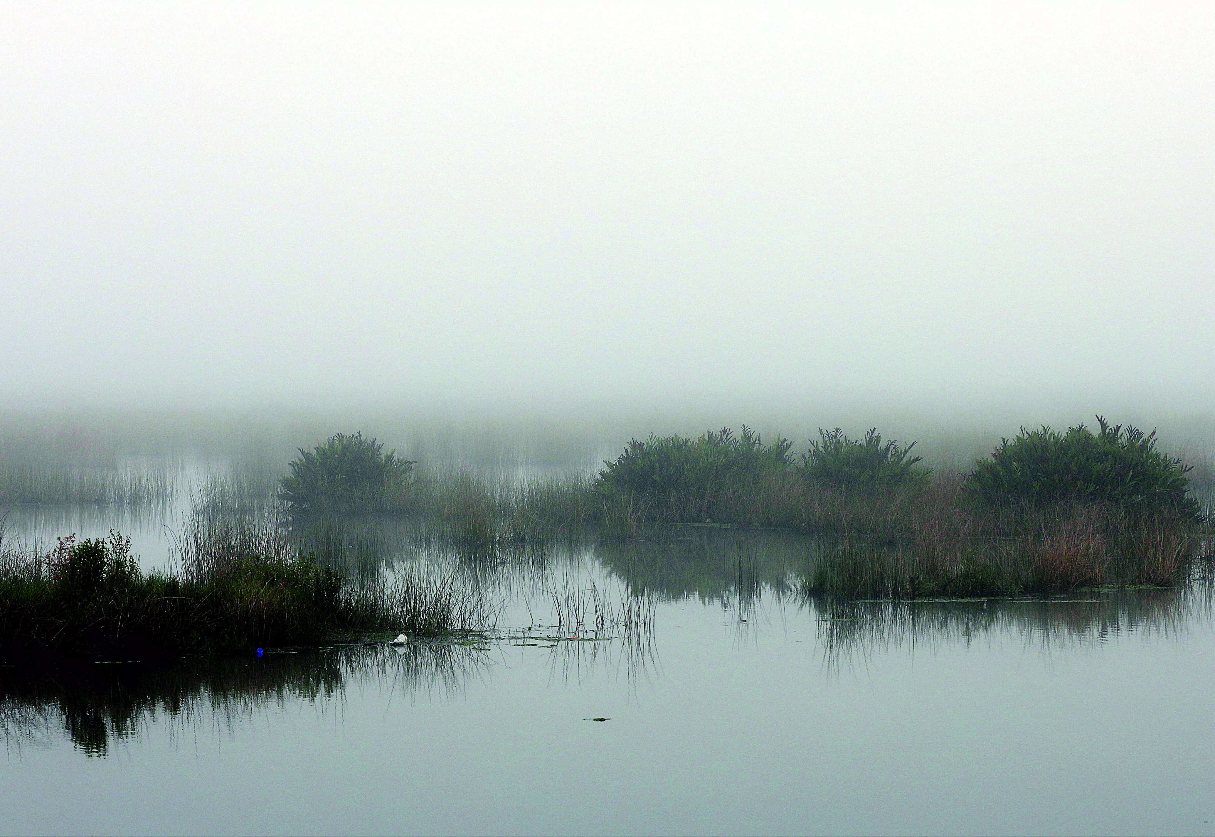 Dry and cool weather, misty mornings to prevail till Jan 3