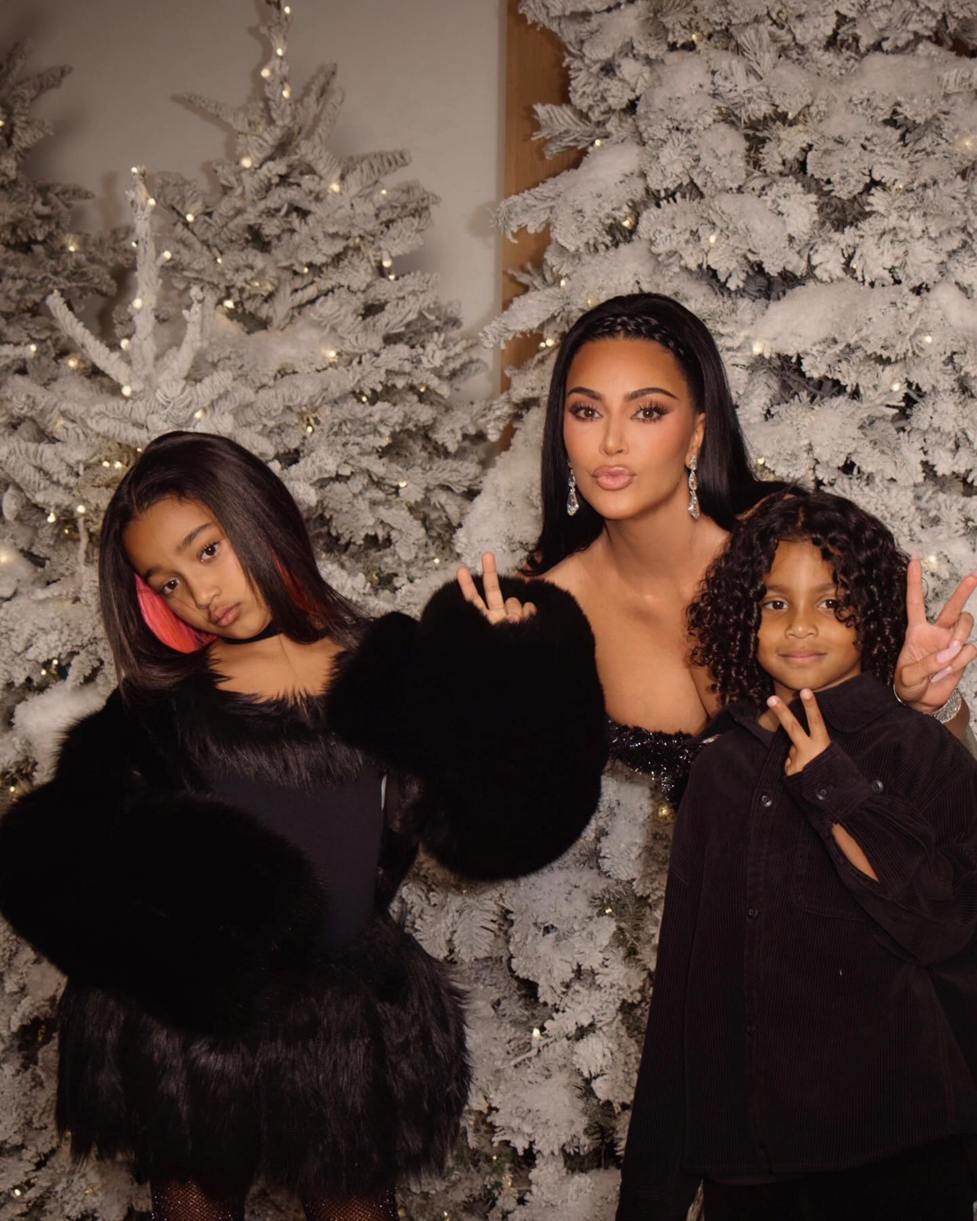 Kim Kardashian called out by PETA for gifting kids four dogs for ...