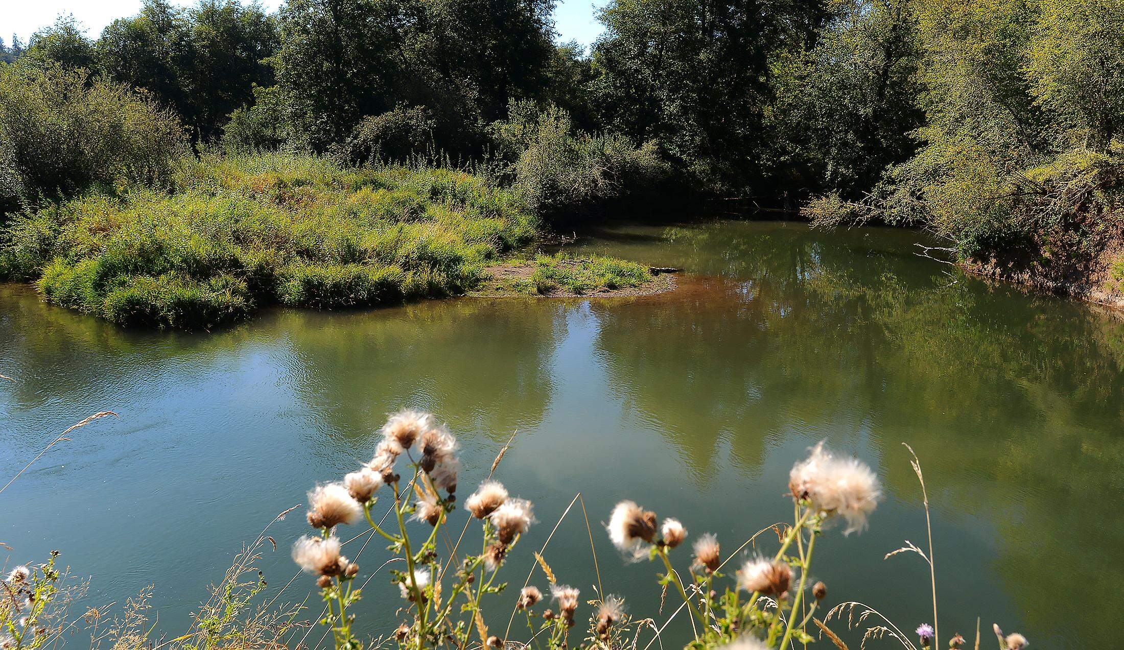 What does $2.4 million water rights purchase mean for Thurston County's ...
