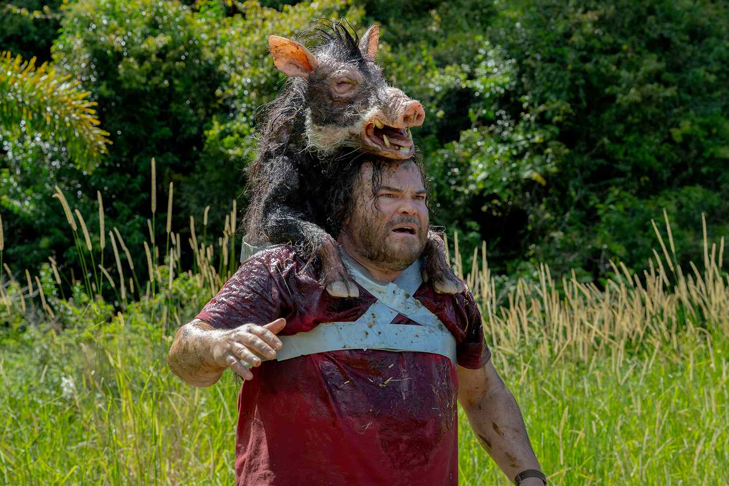 Where to watch every 'Anaconda' movie before seeing Paul Rudd and Jack ...