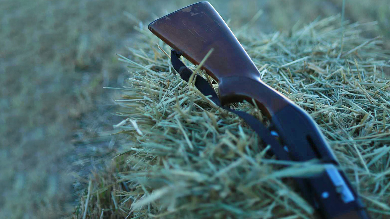 Shotguns that turn nighttime pest control into a guessing game