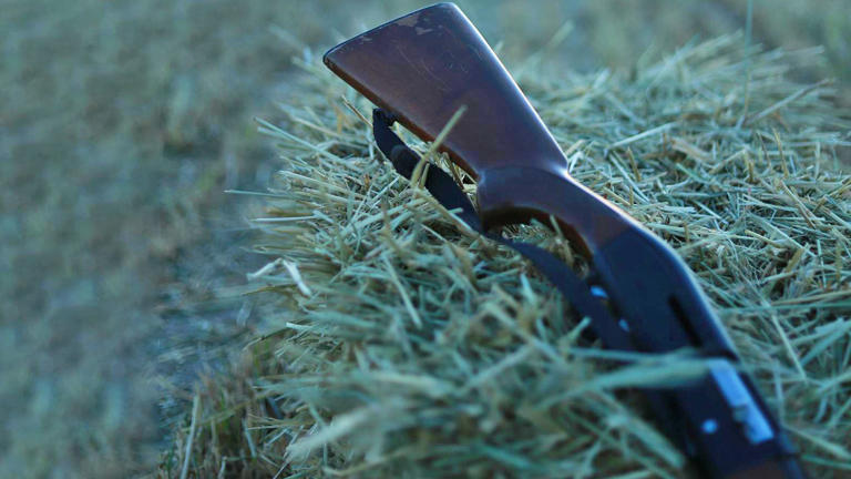 Shotguns that turn nighttime pest control into a guessing game