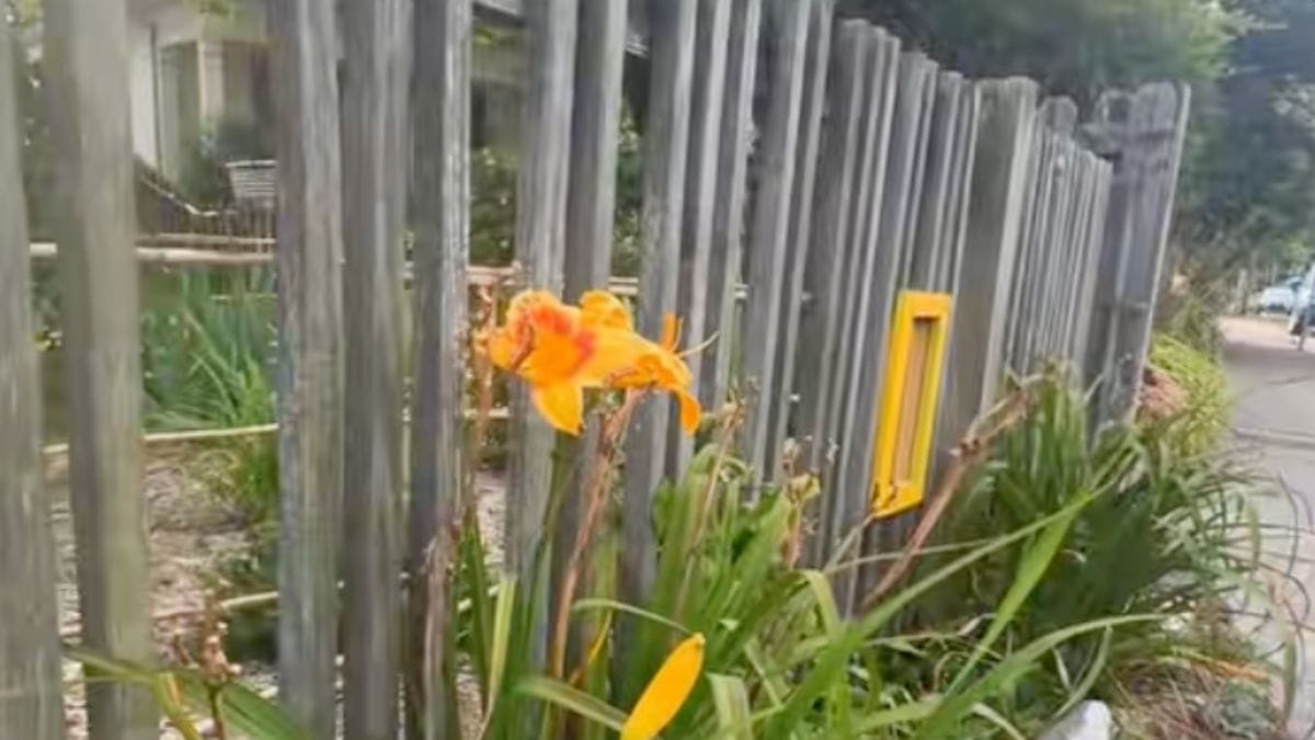 Passer-by baffled by garden signs until she discovers their adorable ...