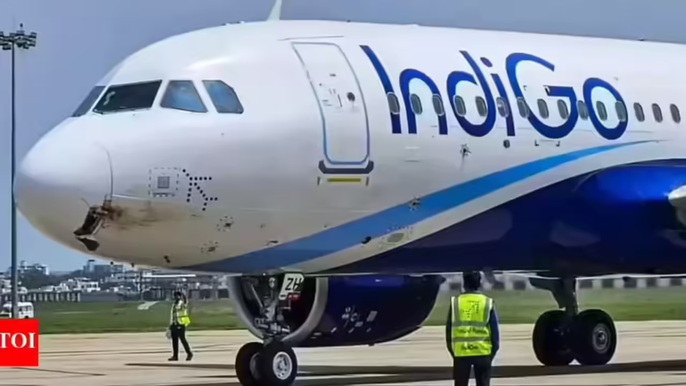 Aviation market share shift: IndiGo’s domestic lead narrows in November ...
