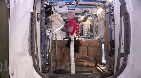NASA astronaut reveals space gym that will be used to train astronauts ...