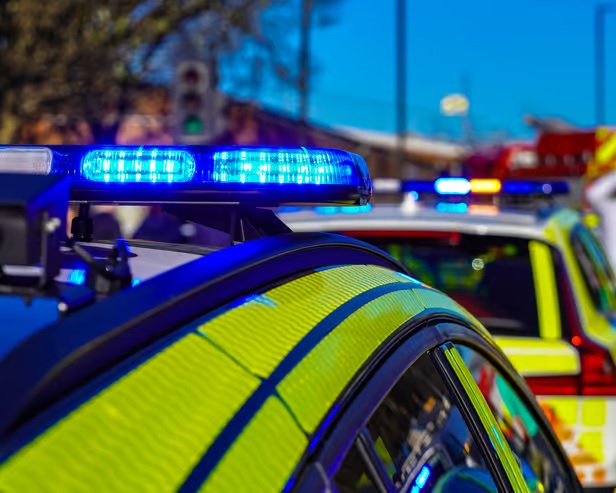 Four men in their 20s arrested after police raid Preston cannabis farm ...