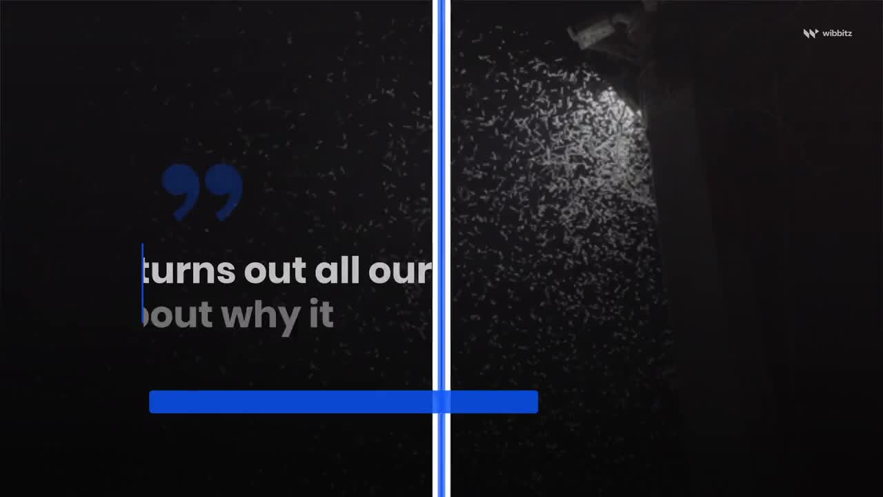 The reason why insects are attracted to artificial light