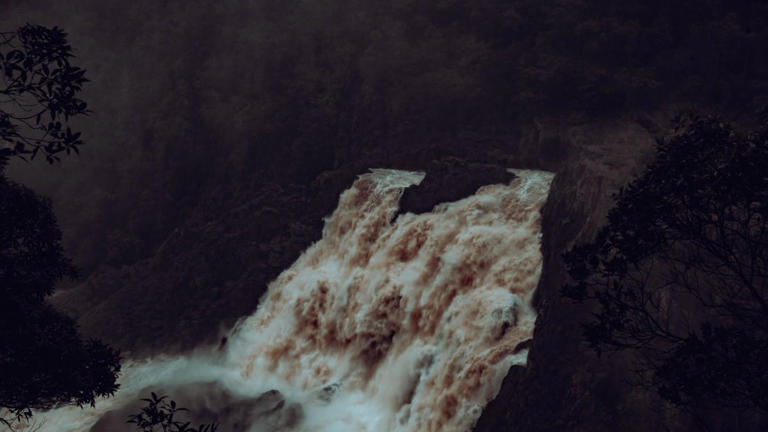 The role of beavers in flood prevention