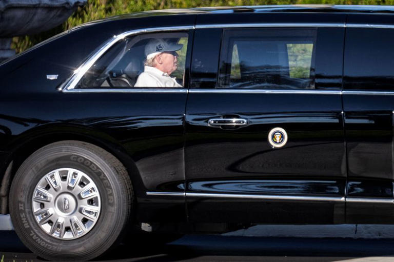 'Toddler' Donald Trump accused of having IQ lower than his golf score