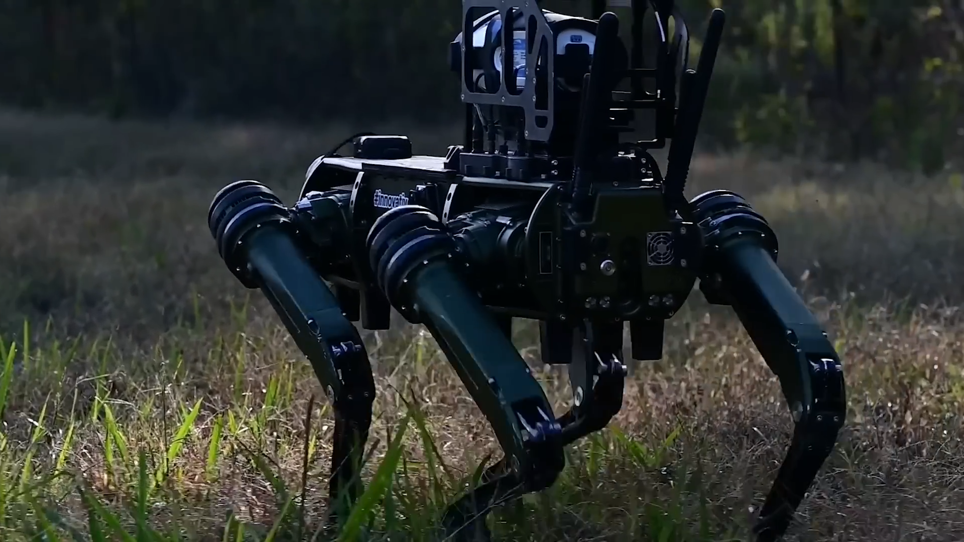 China’s armed robot dogs: Why US lawmakers fear a new era of urban warfare