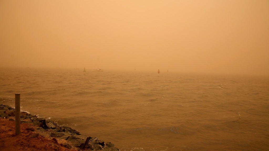 Why dust from the Sahara affects weather across the Atlantic