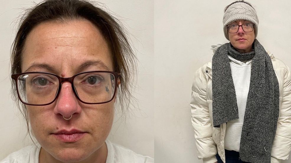 Wilkes-Barre Township police arrest woman on theft, false ID charges