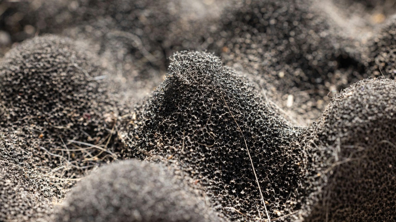 A new air sponge method could harvest drinking water from thin air