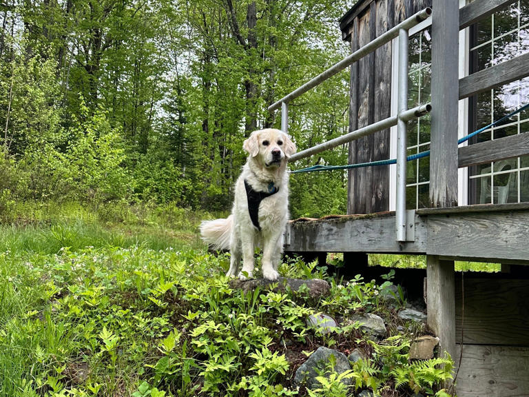 I bought a fixer-upper with my 2 siblings. It's a work in progress, but ...