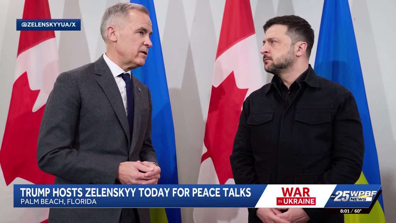 Zelenskyy to meet with Trump as efforts to end Russia-Ukraine war ...