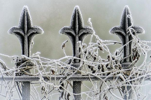 York and North Yorkshire forecast to shiver in the new year