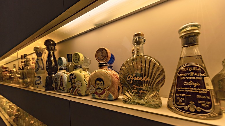 Get to know 5 types of mezcal