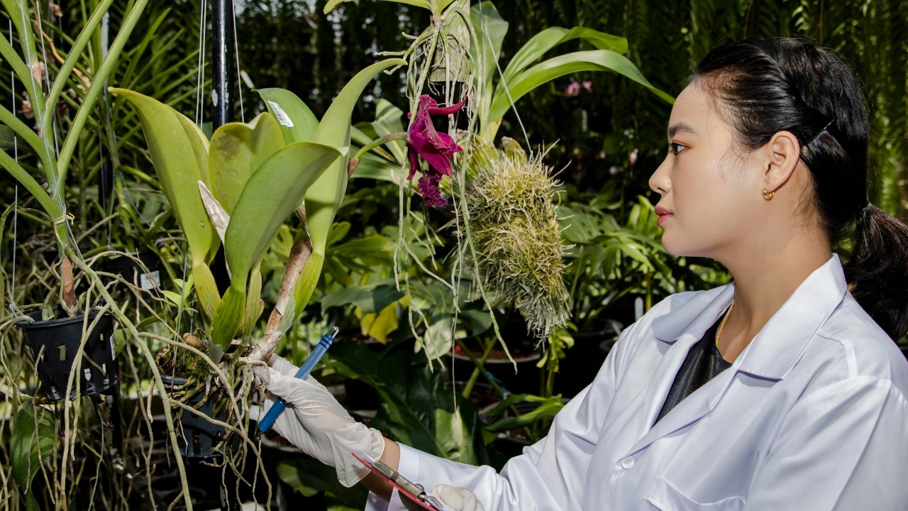 Amazon changes are spooking scientists and the warning signs are growing