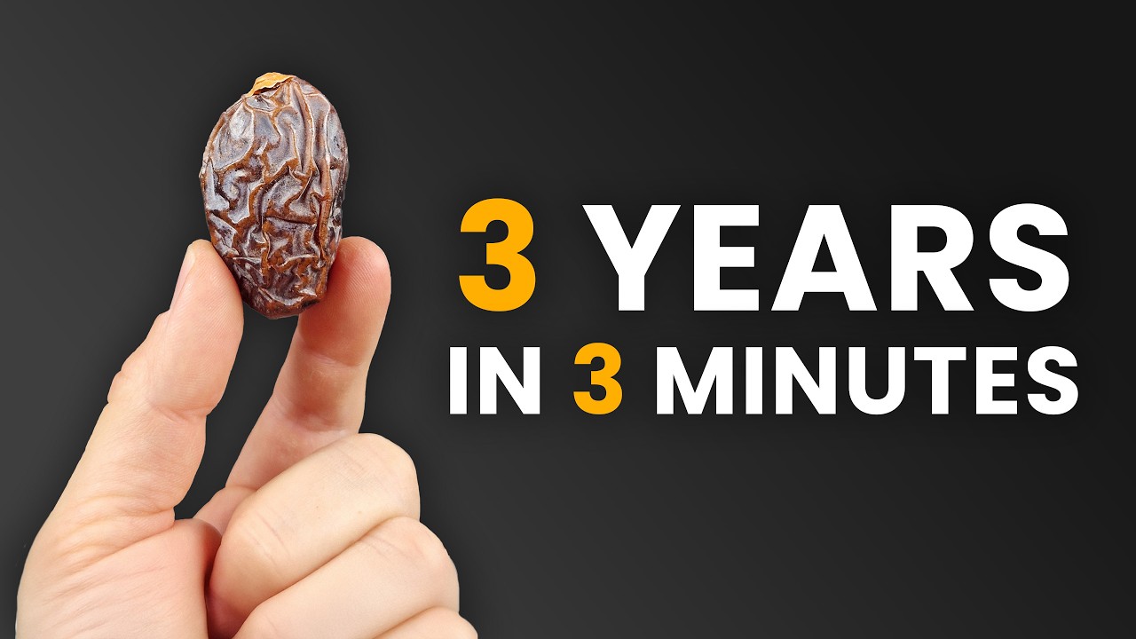 3 years of growth: Watch my date palm thrive!