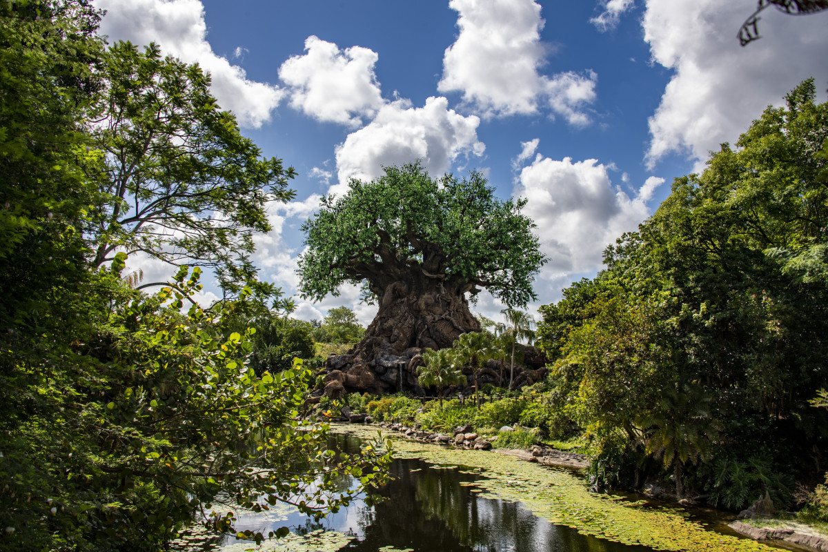 Disney World plans major change to beloved theme park attraction