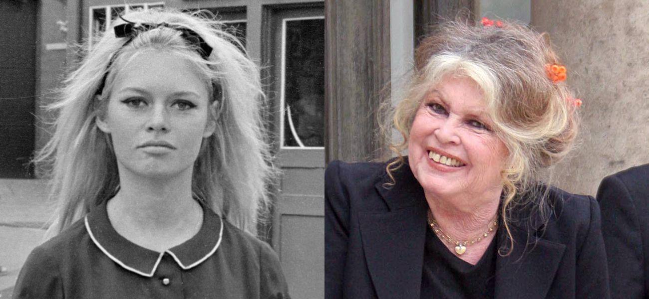 The real reason Brigitte Bardot quit acting at 39 reemerges after her death