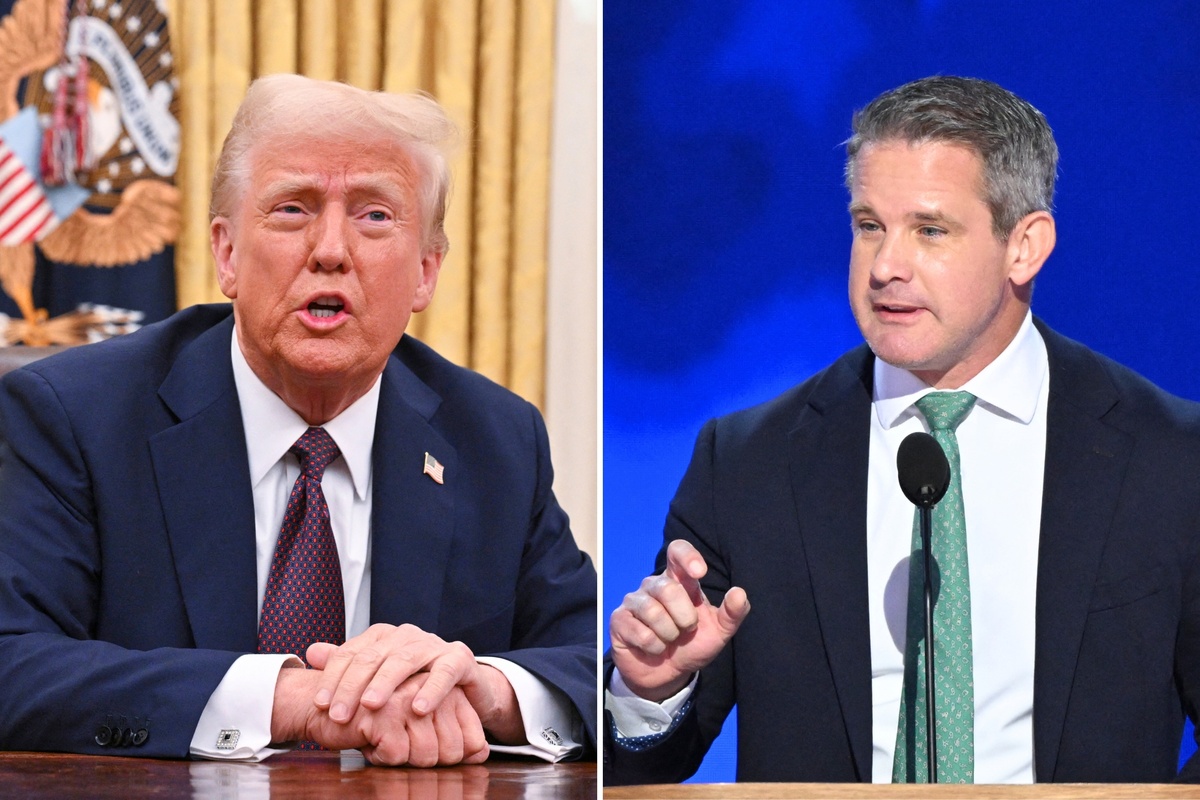 Former January 6 committee member slams "tiny man" Trump for cancelling ...